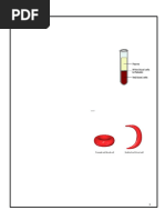 Specialised Animal Cells - Living Organisms - KS3 Biology - BBC ...