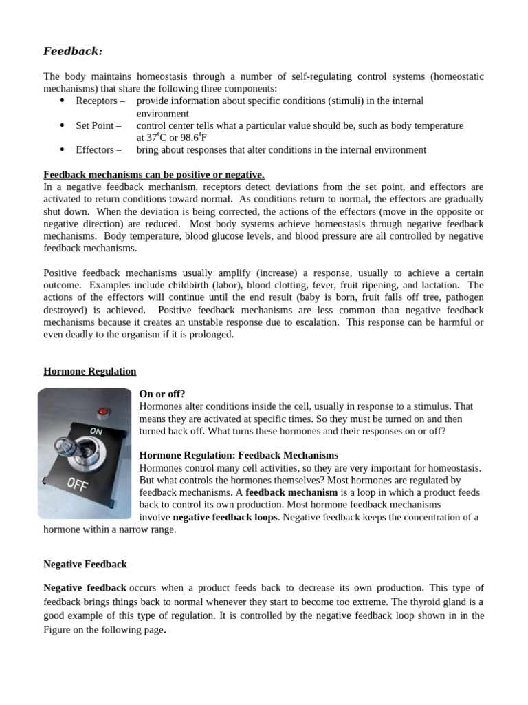 Homeostasis: Feedback Mechanisms Explained | PDF | Pancreas | Thyroid ...