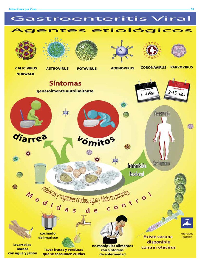 Guía Gastroenteritis Viral | PDF