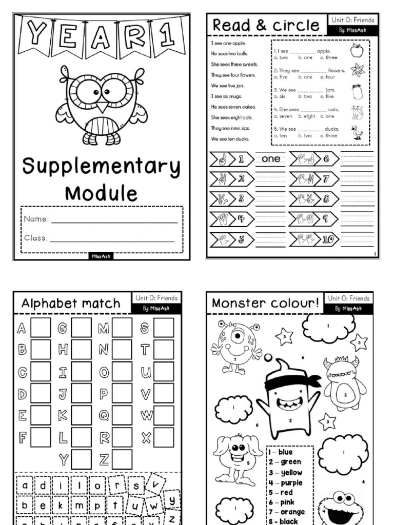 Year 1-Supplementary Module | PDF
