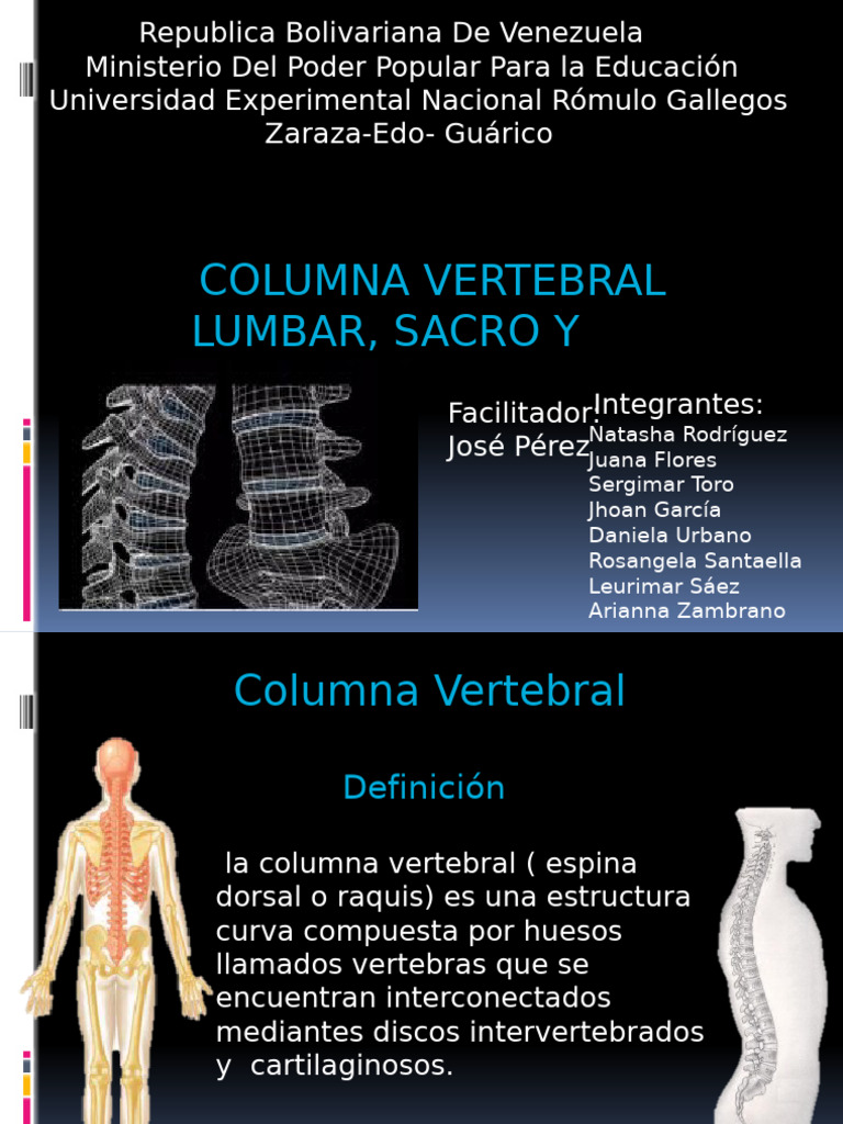 Anatomía y Patologías de la Columna Vertebral | PDF | La columna ...