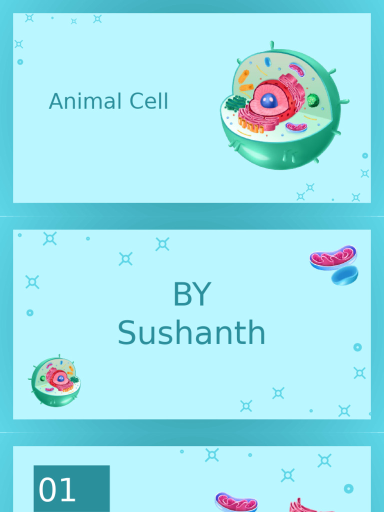 BIO Animal Cell | PDF