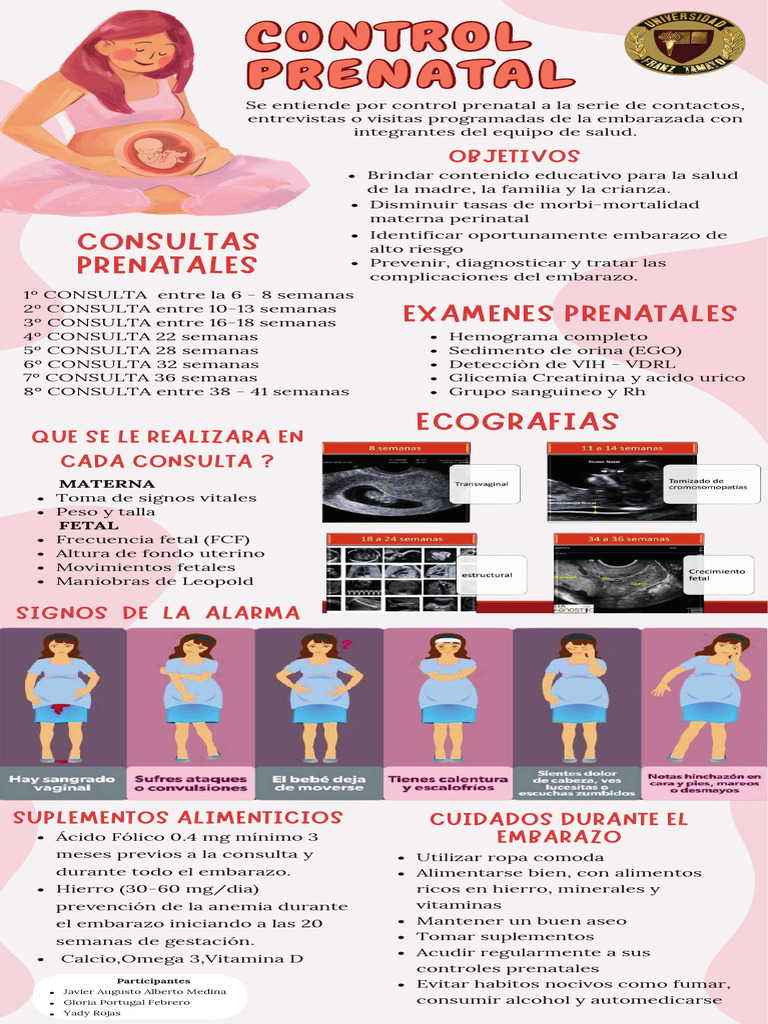 Guía de Control Prenatal Esencial | PDF | El embarazo | Salud maternal