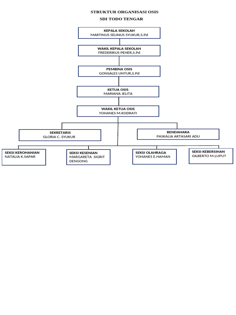 STRUKTUR ORGANISASI OSIS | PDF