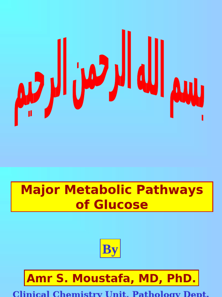 Lecture11 - Major Glucose Pathways, Intro - 2013 (Updated) | PDF ...