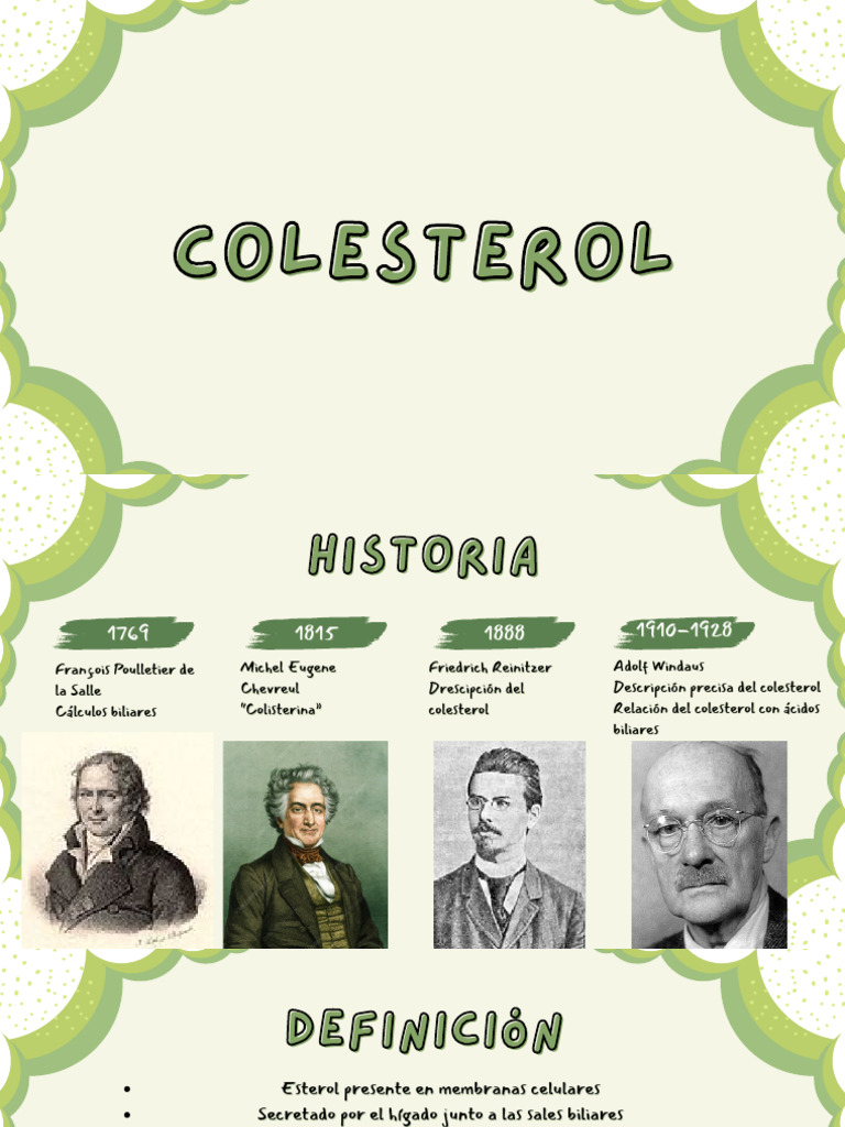 Colesterol | PDF | Colesterol | Antioxidante
