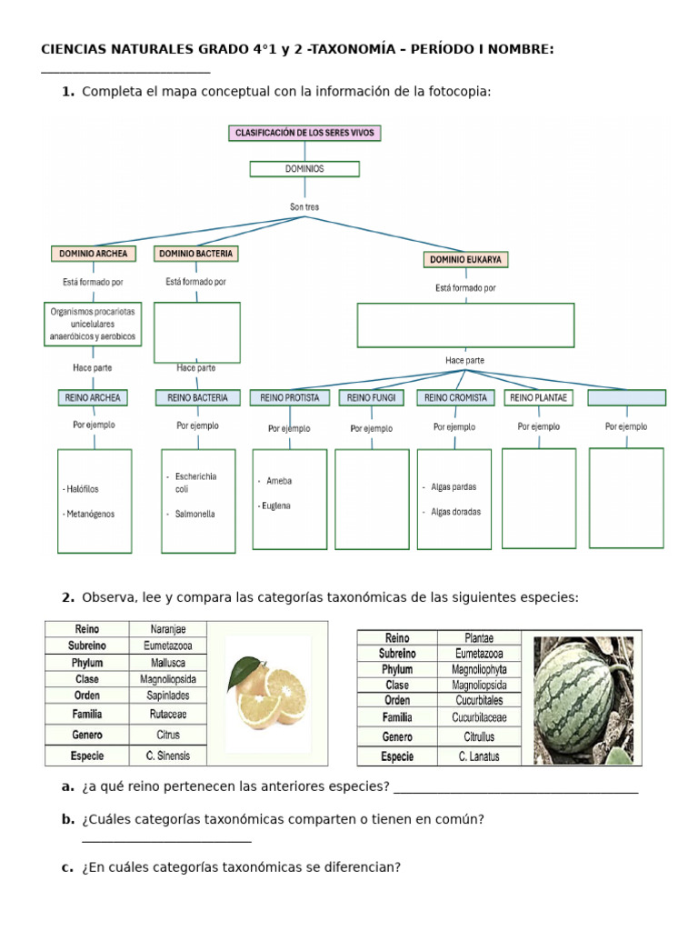 Taxonomía en Ciencias Naturales 4° Grado | PDF