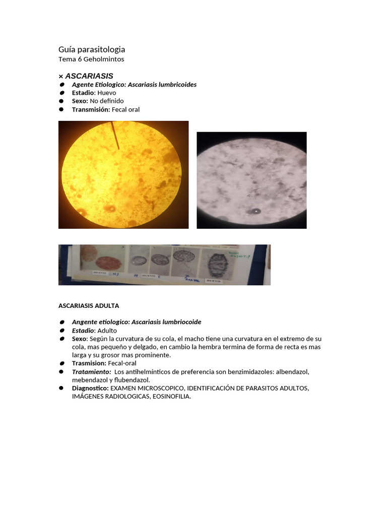 Guía de helmintiasis y su tratamiento | PDF | Especialidades Medicas ...