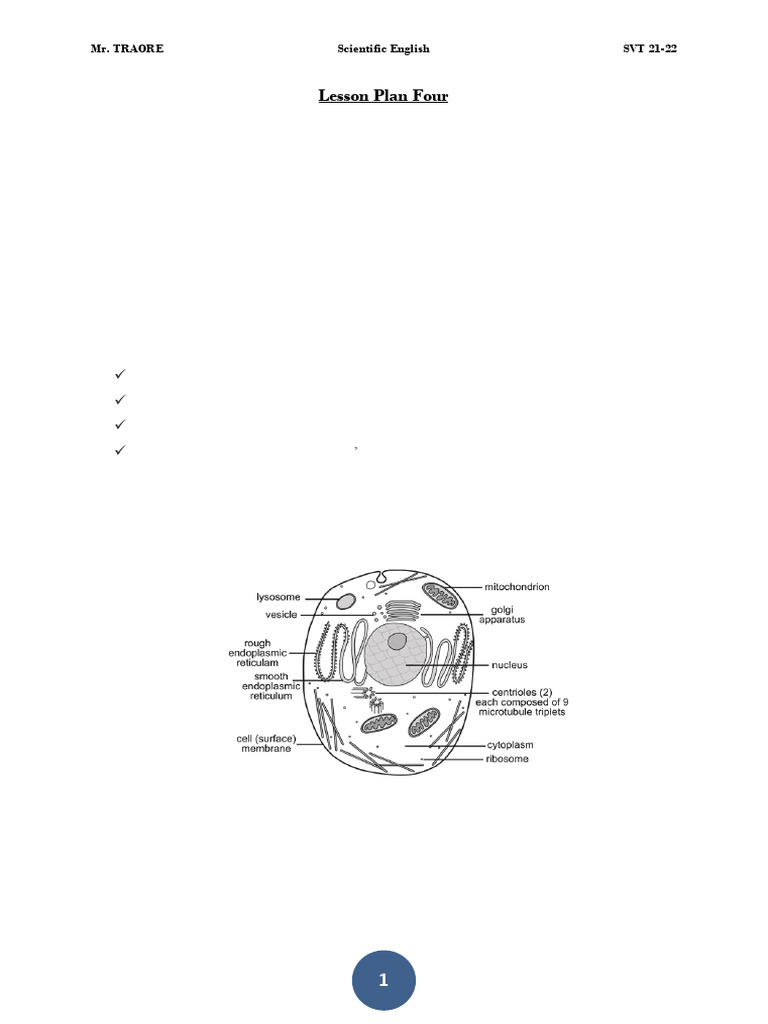 SVT Lesson S1 (Plant Cell) | PDF | Endoplasmic Reticulum | Cell (Biology)