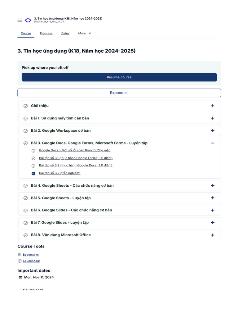 Course - 3. Tin Học Ứng Dụng (K18, Năm Học 2024-2025) - Học Tiếp | PDF