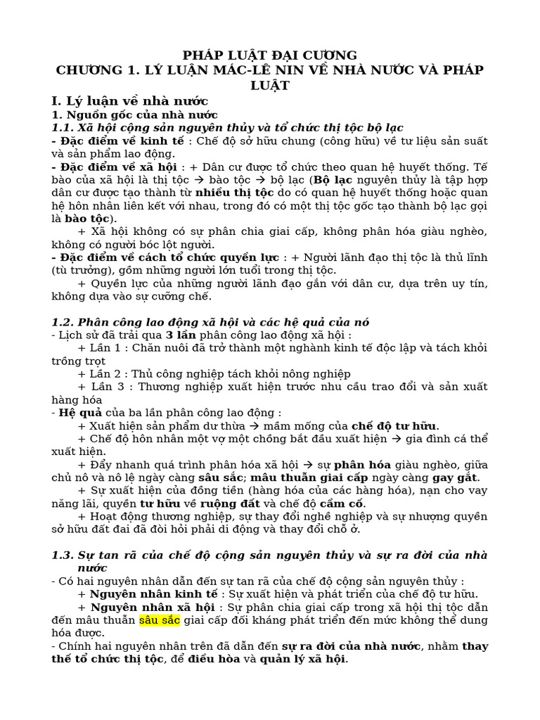 PHÁP-LUẬT-ĐẠI-CƯƠNG-Autosaved (1) | PDF