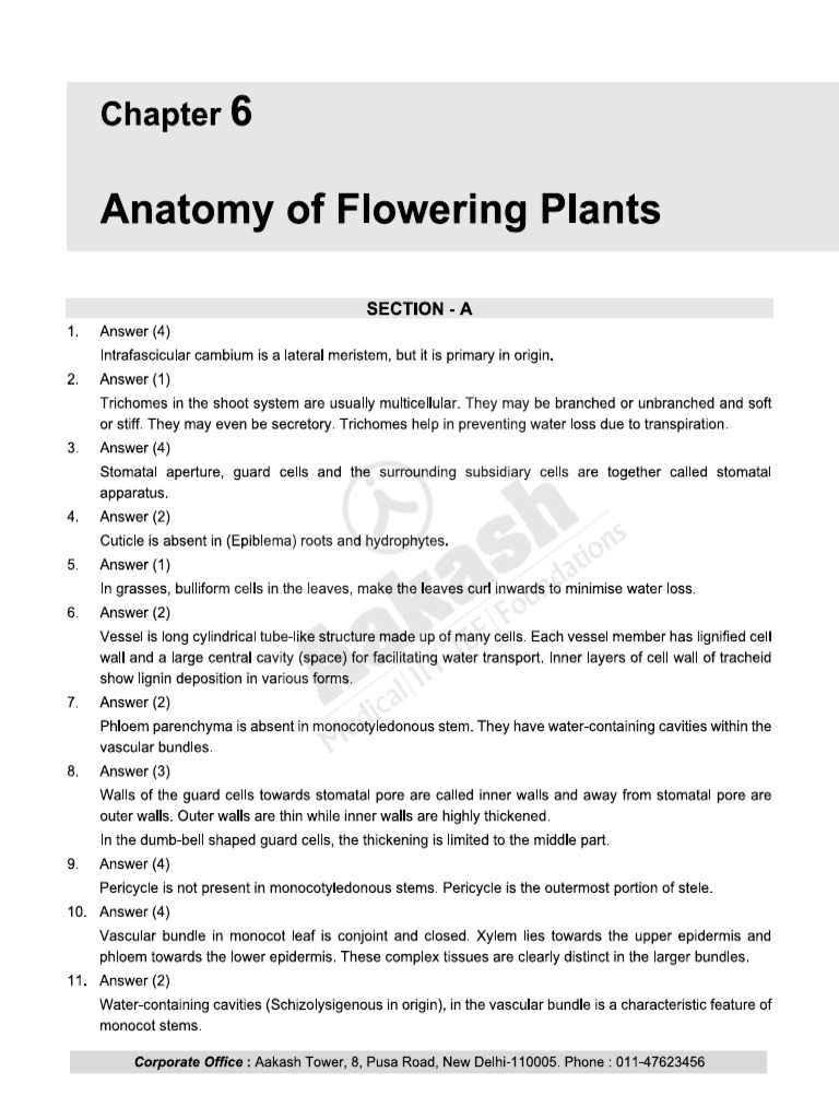 MBN - Chap-6 - Anatomy of Flowering Plants | PDF