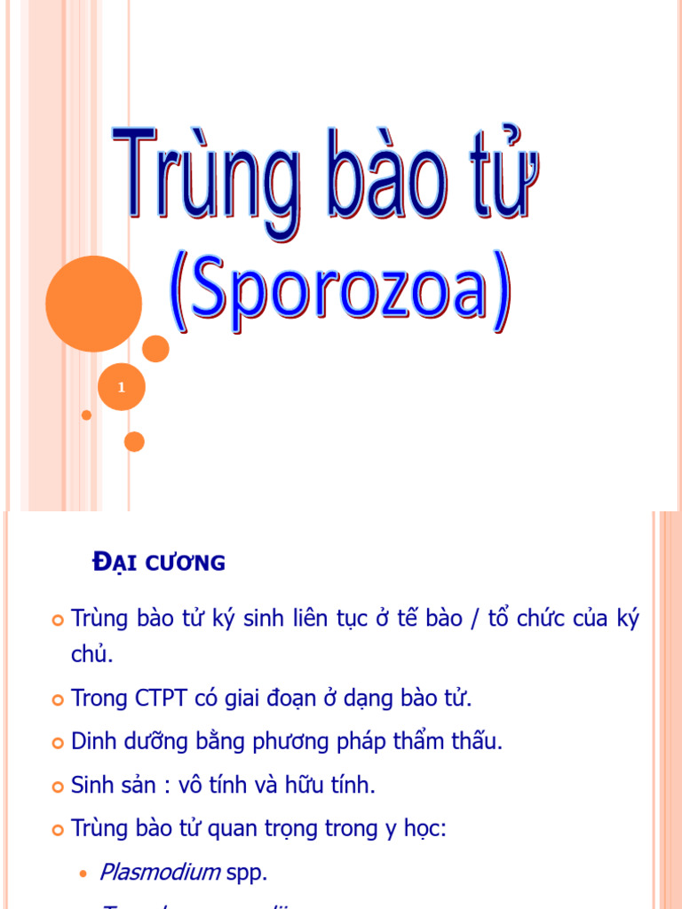 KST Sot Ret 2024 Compressed | PDF