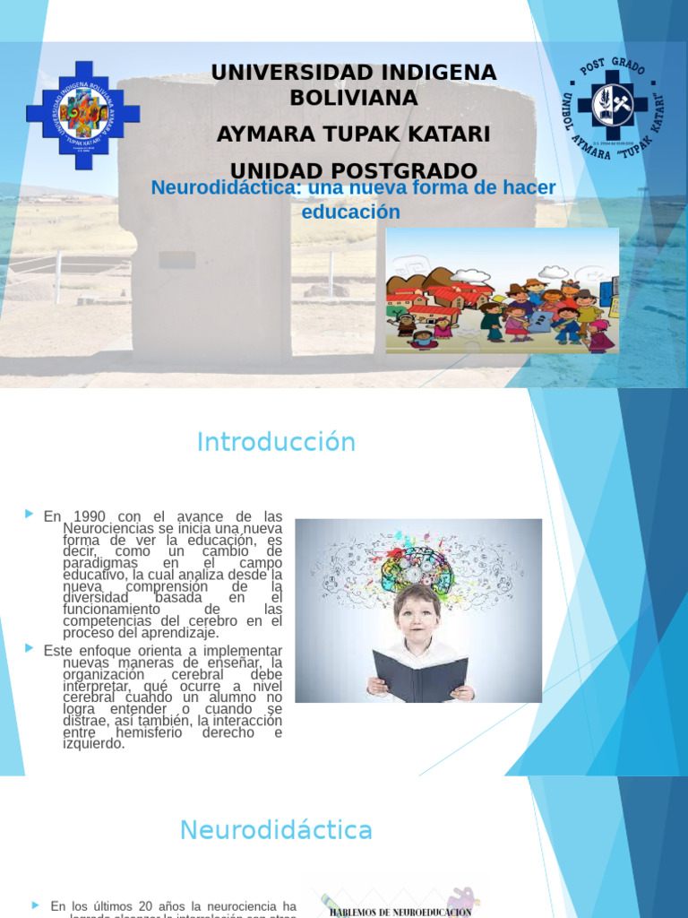 GRUPO 4 - TRAB COLAB SEM-1 | PDF | Cerebro | Neurociencia