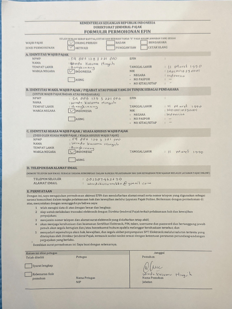 Isian Formulir Permohonan EFIN | PDF