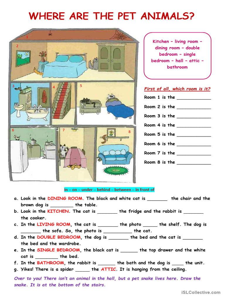 Pet Location and Room Guide | PDF | Bedroom | Bathroom