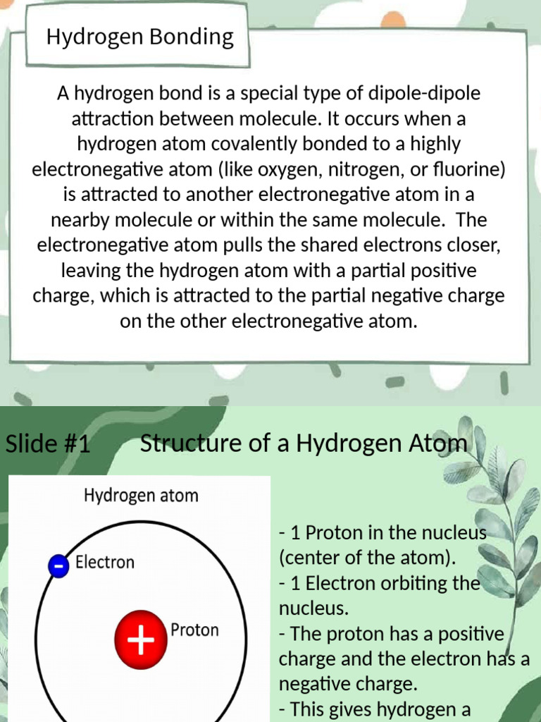 Hydrogen Bonding | PDF | Chemical Bond | Hydrogen Bond