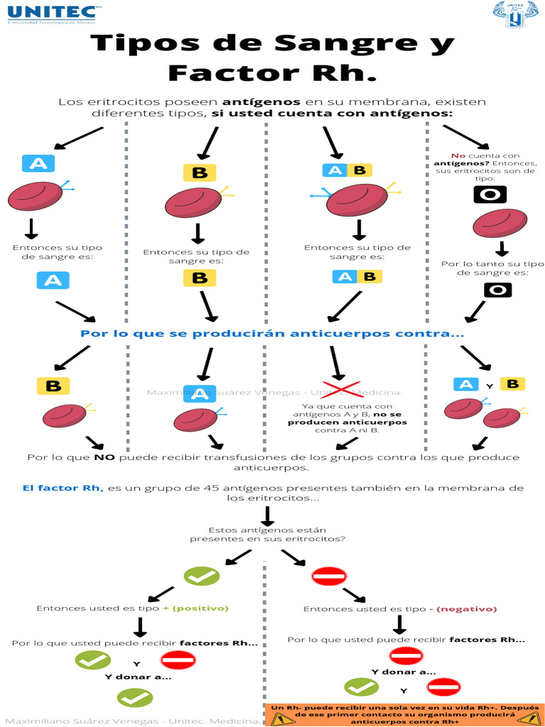Grupos Sanguíneos y Factor RH | PDF | Tipo de sangre | Anatomia animal