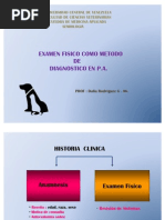 Técnicas de Enucleación en Pequeñas Especies. | PDF | Cirugía | Ojo