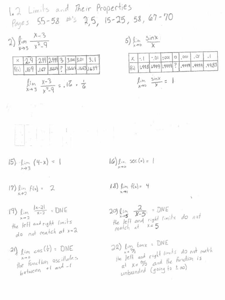 1.2 Limits and Their Properties HW | PDF