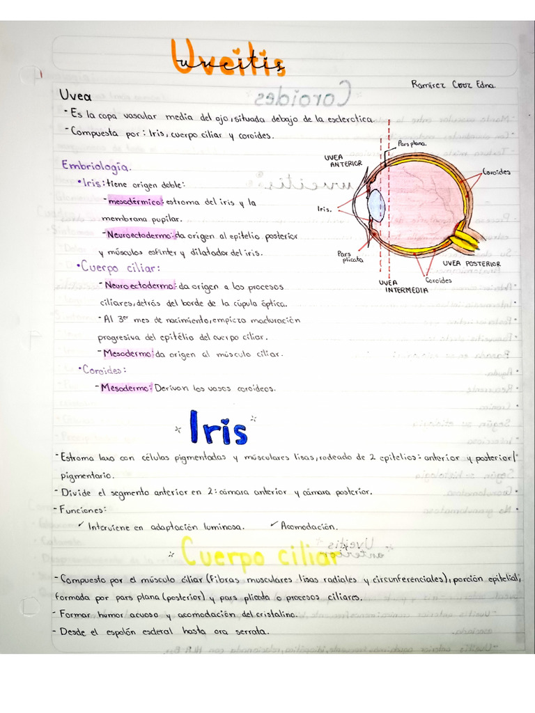 Uveitis | PDF