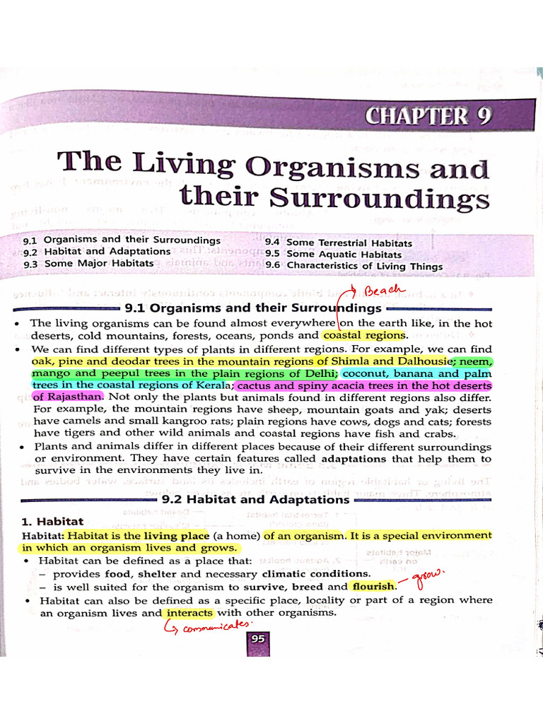 Chapter 9 | PDF
