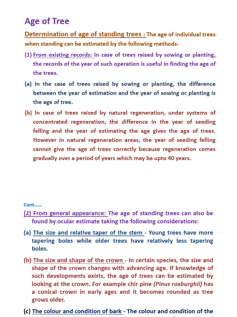 Age of Tree | PDF | Trees | Pine