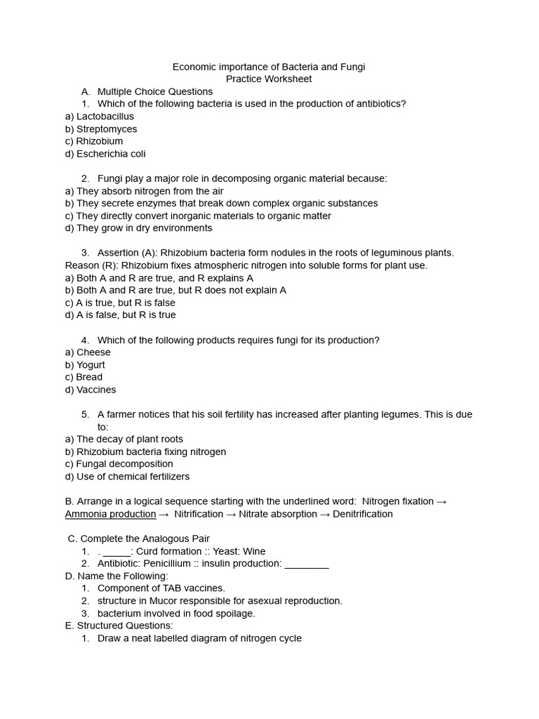 Practice Worksheet 1 | PDF