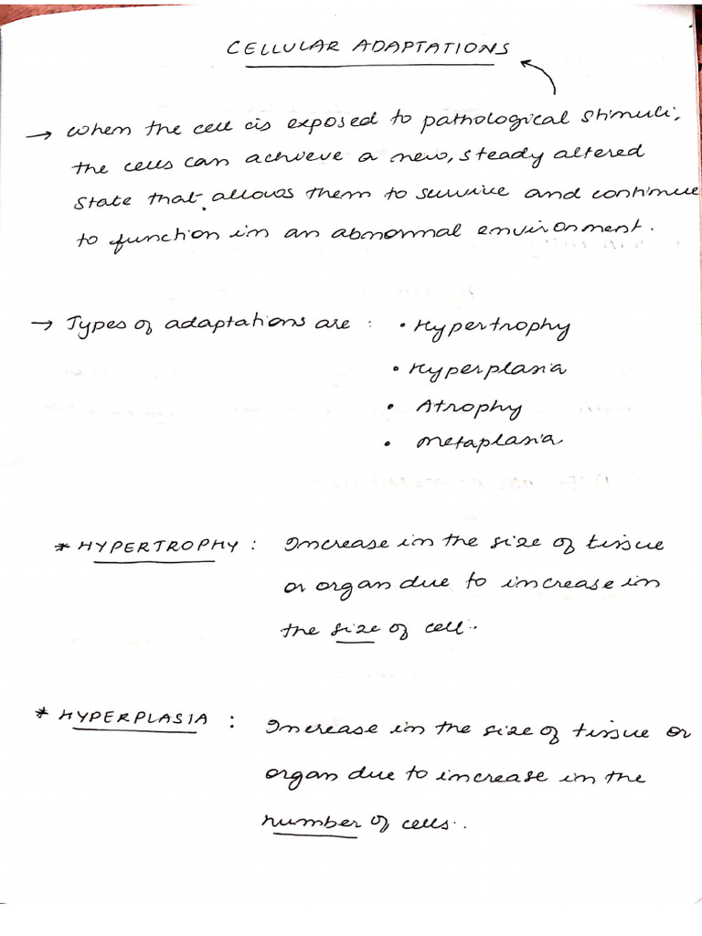 Pathology Notes | PDF