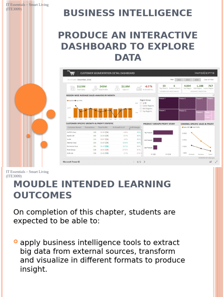 Business Intelligence | PDF | Business Intelligence | Software