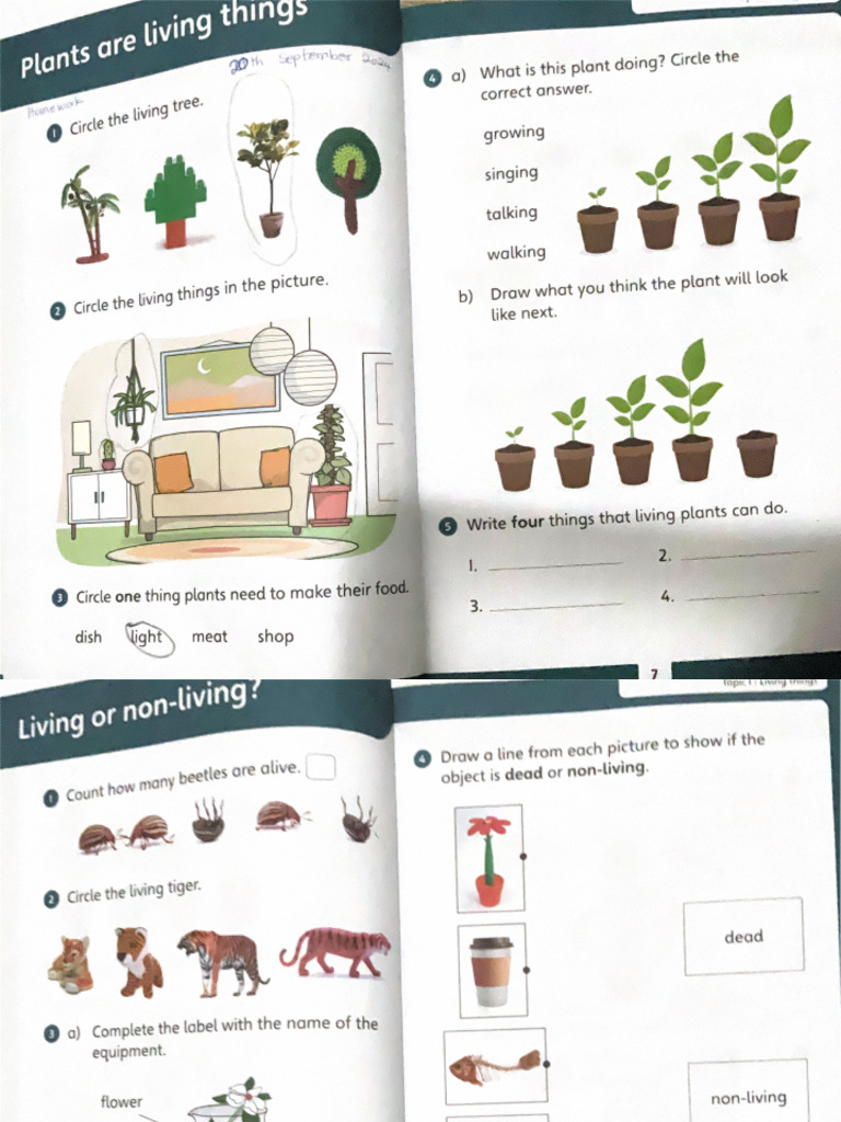 Living and Non Living | PDF