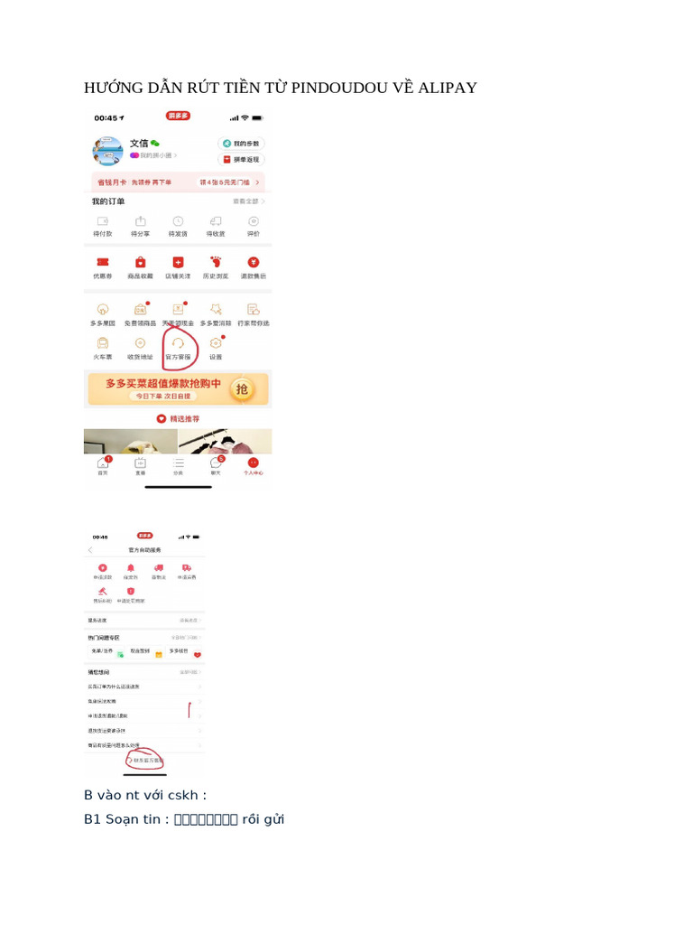 HƯỚNG DẪN RÚT TIỀN TỪ PINDOUDOU VỀ ALIPAY | PDF