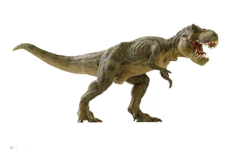 T Rex | PDF