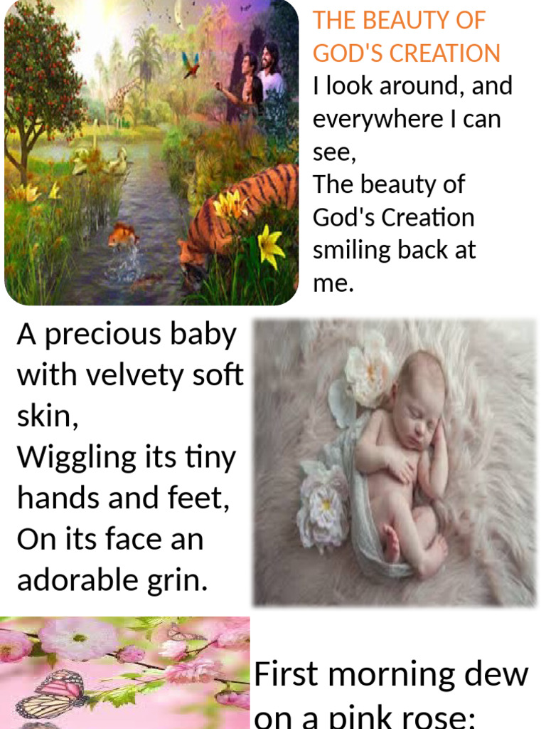 The Beauty of God's Creation | PDF