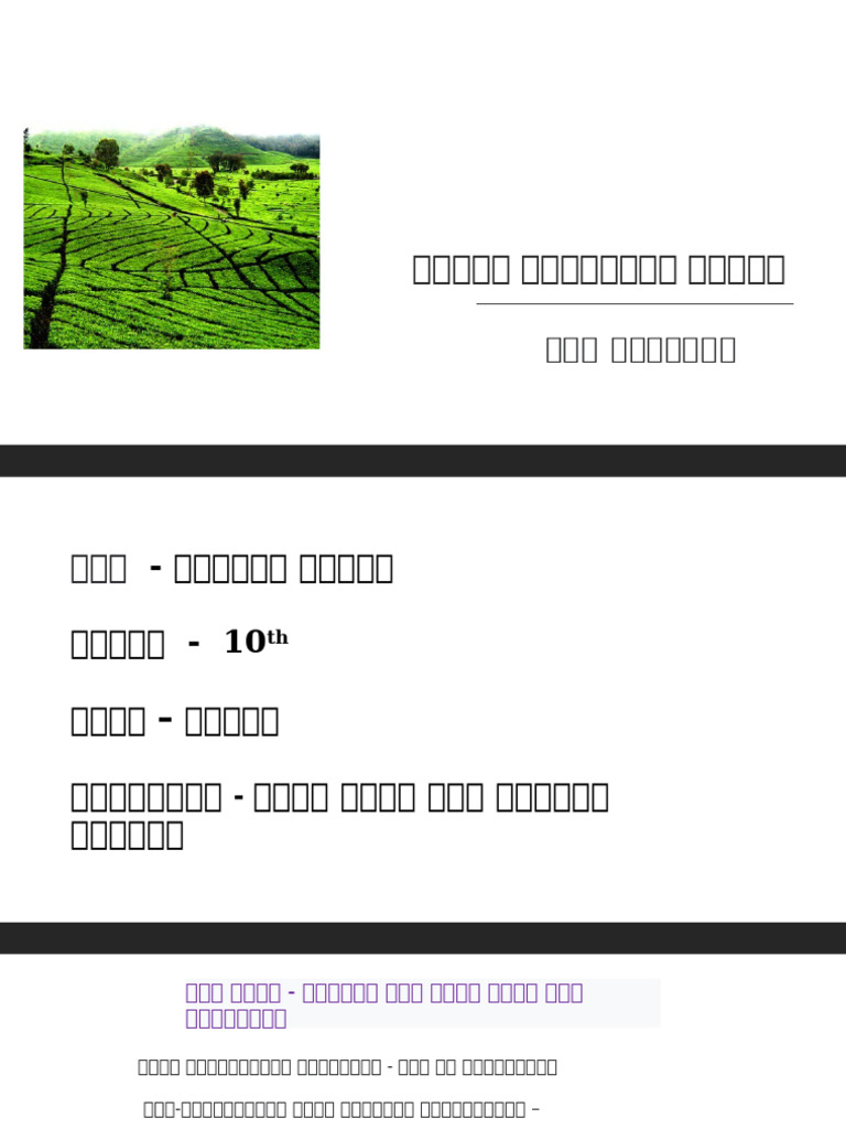 Tea Production | PDF