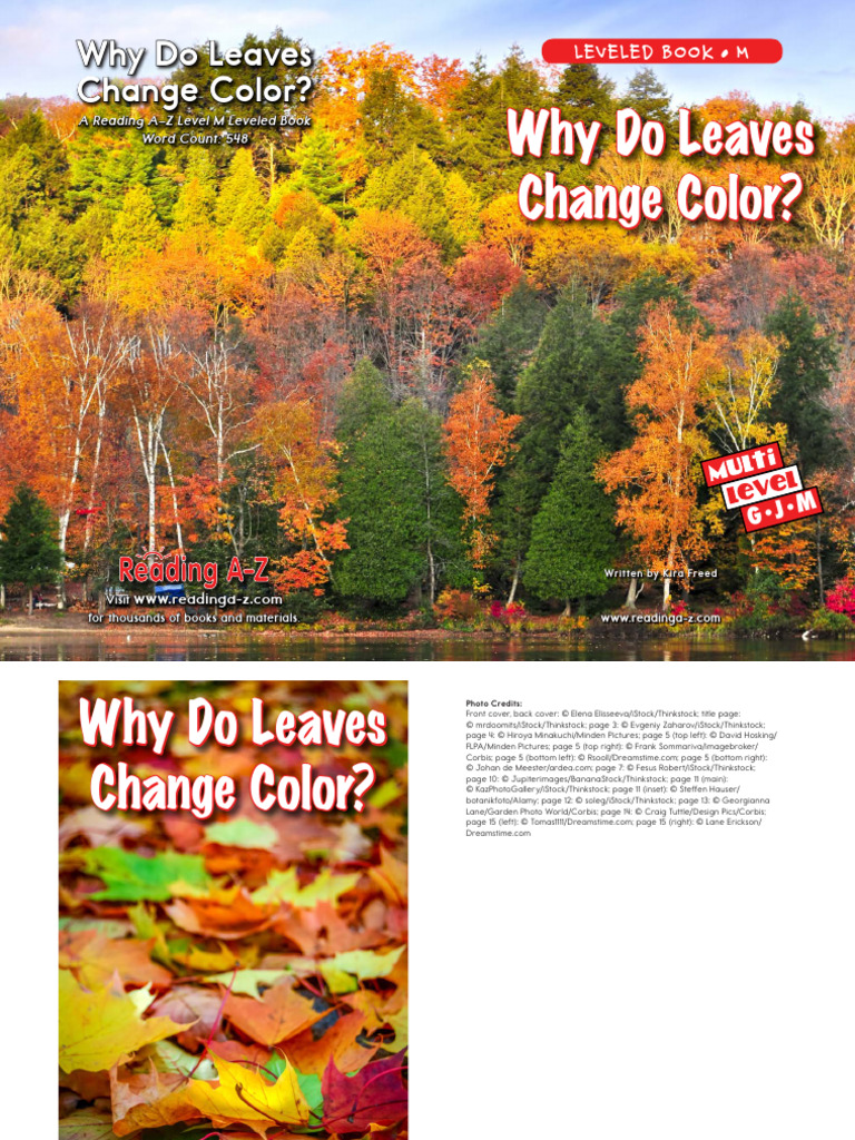 Raz Lm27 Whydoleaveschangecolor CLR | PDF | Leaf | Photosynthesis