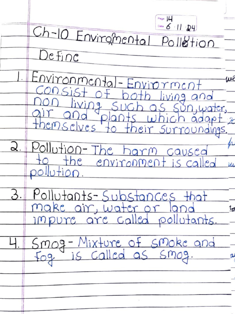 Environmental Pollution (Notebook Work) | PDF