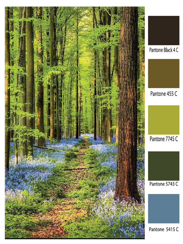 Pantone Color Board | PDF