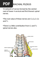 How To Draw Brachial Plexus | PDF