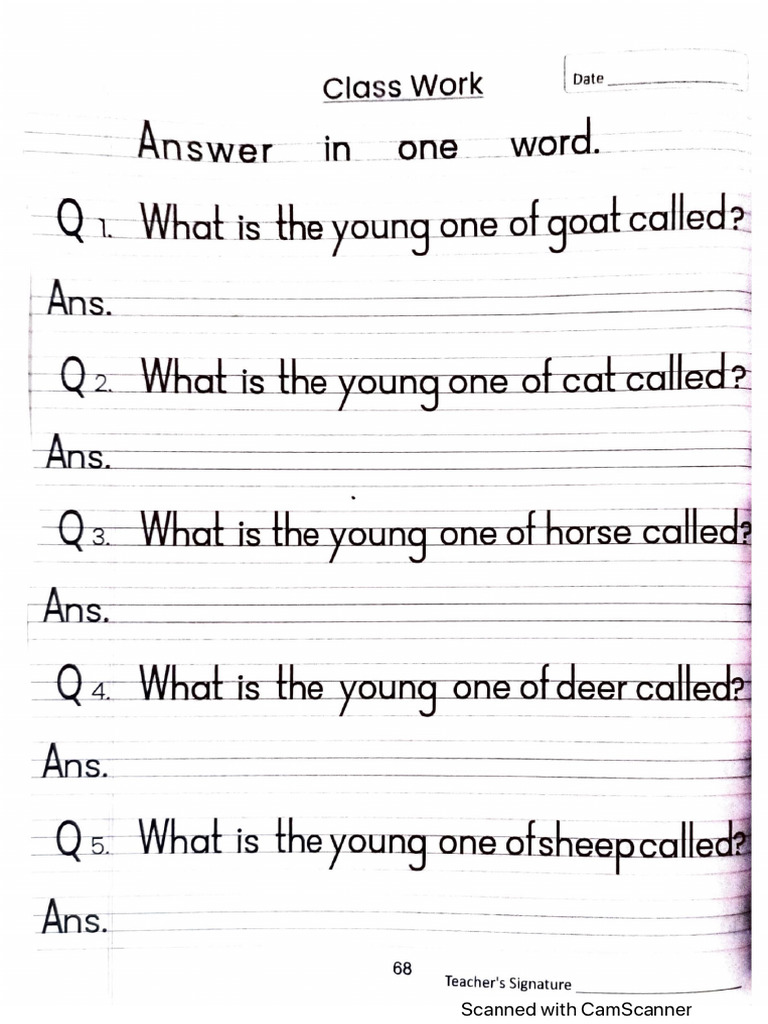 Evs Notebook Piku 7 | PDF