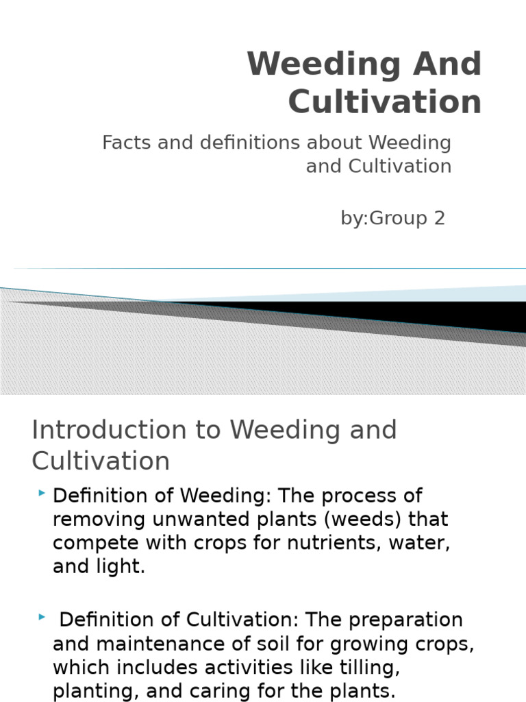 Tle Presentation | PDF