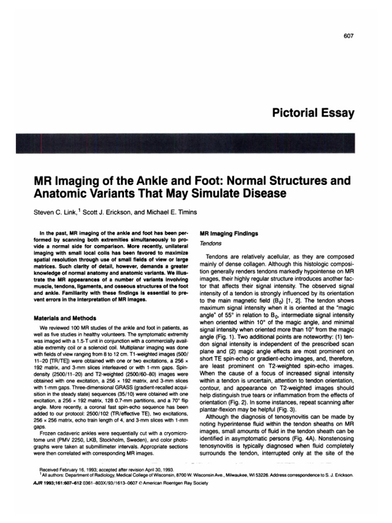 Link Et Al 2013 MR Imaging of The Ankle and Foot Normal Structures and ...