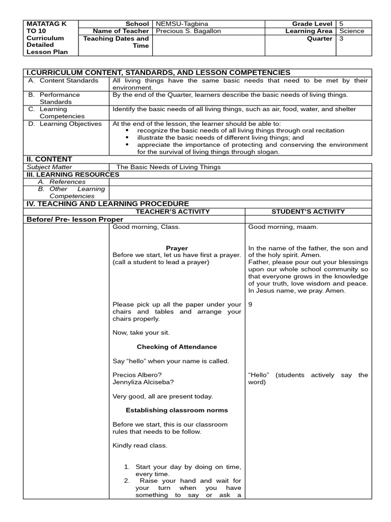 Grade 5 Science Lesson Plan: Static Electricity | PDF | Electricity ...