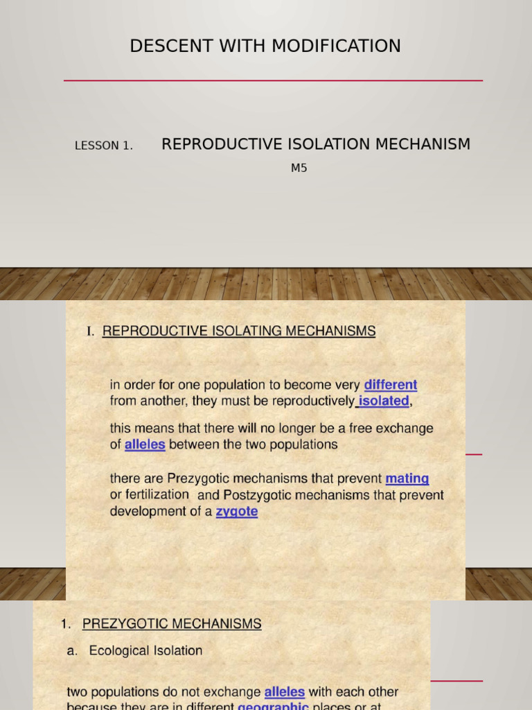 5 Descent With Modification Students Copy 2 | PDF