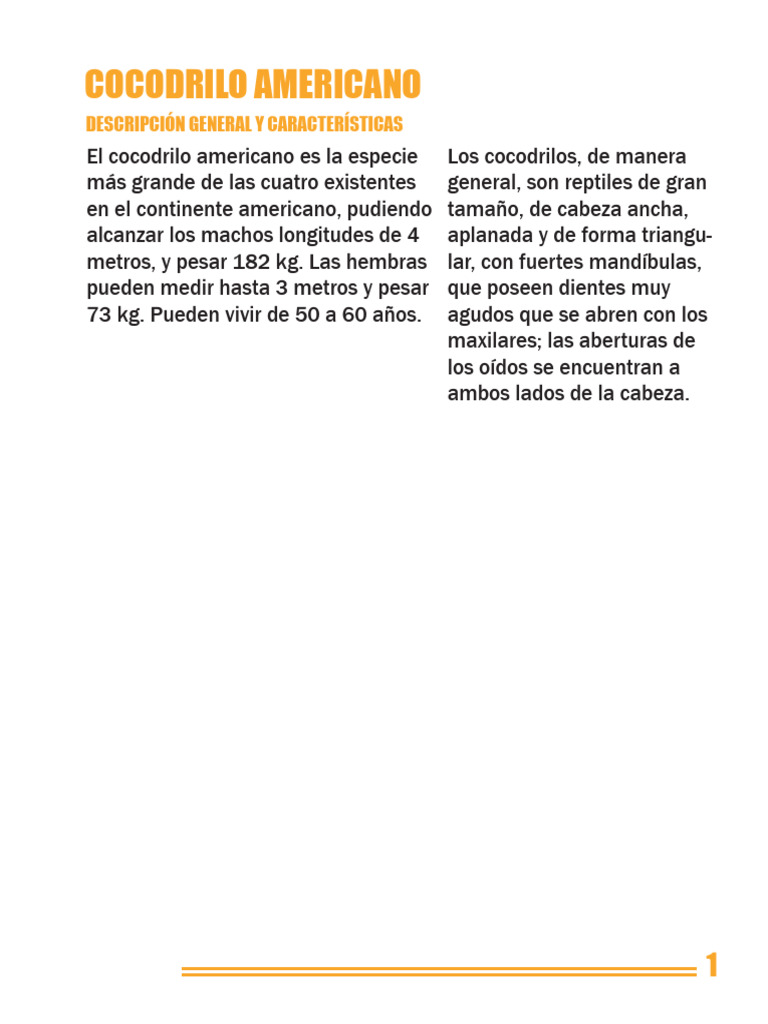 Características del Cocodrilo Americano | PDF