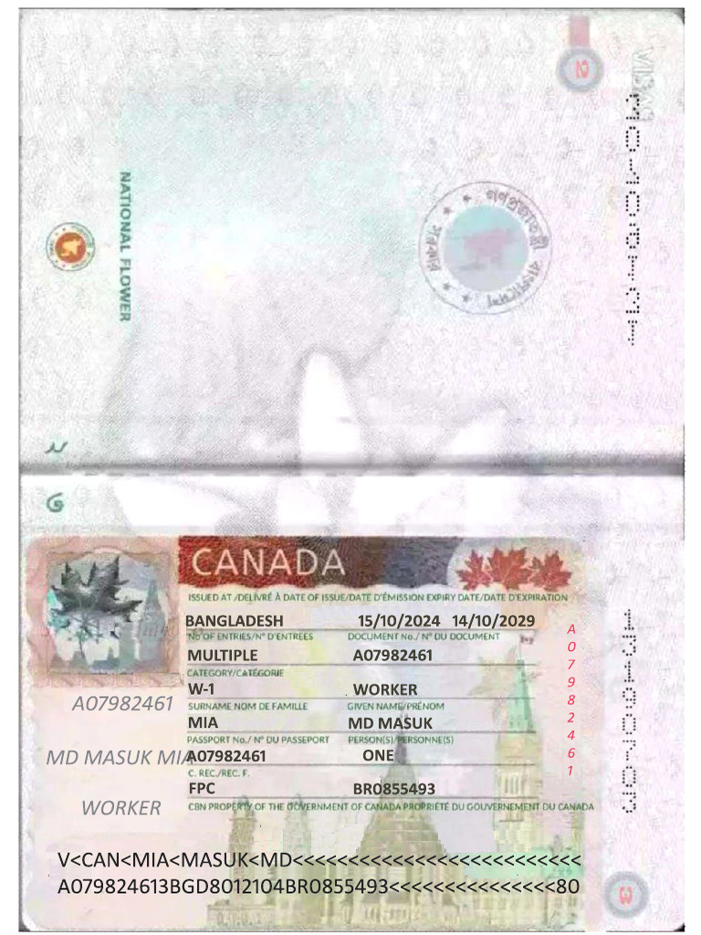 Canada Visa Form | PDF