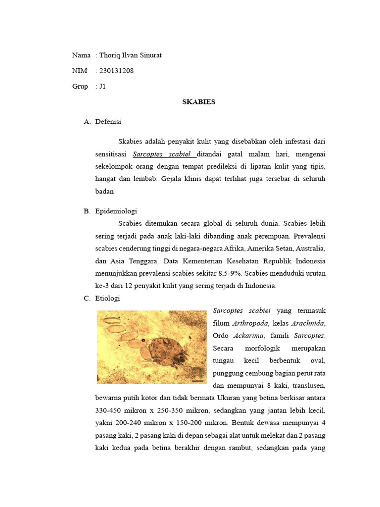 Tugas Skabies Dan Ruam Thoriq Ilvan Sinurat 230131208 | PDF