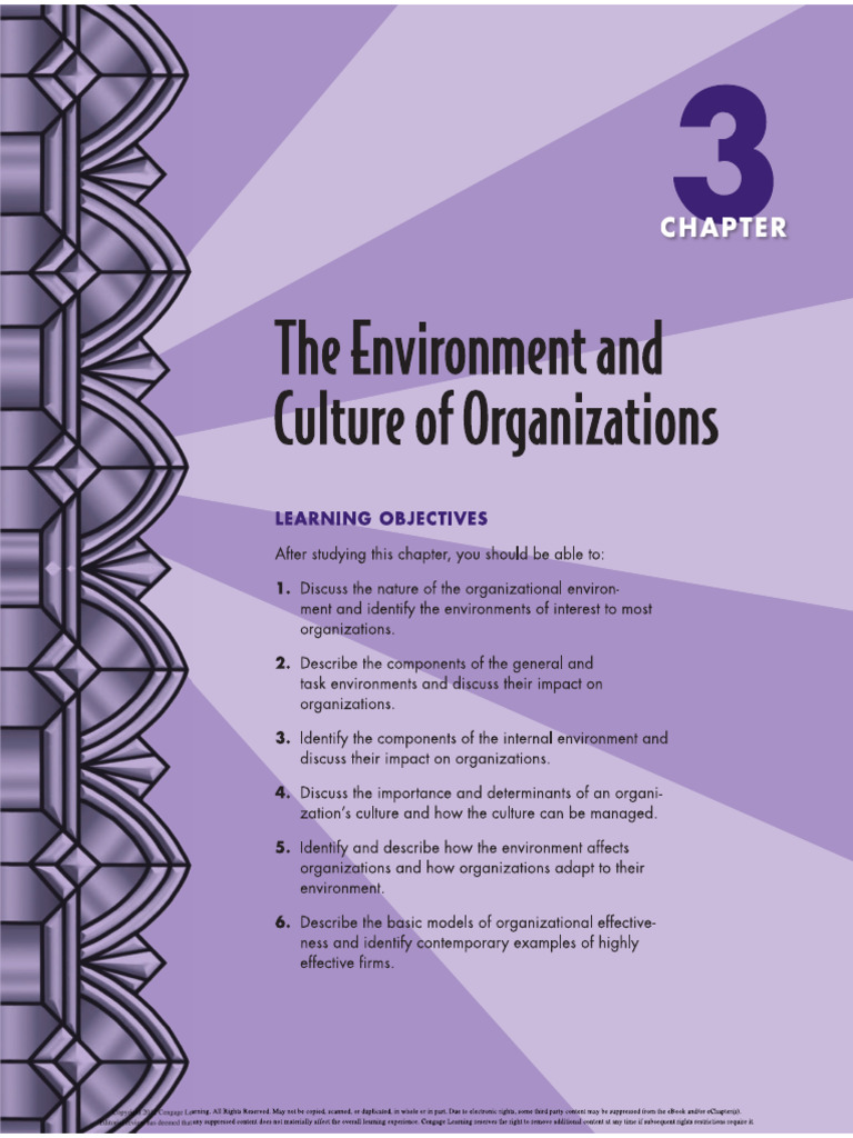 Chapter 3 - The Environment and Culture of Organization | PDF