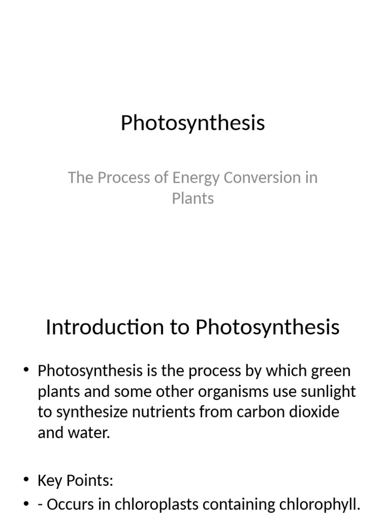 Photosynthesis Presentation | PDF