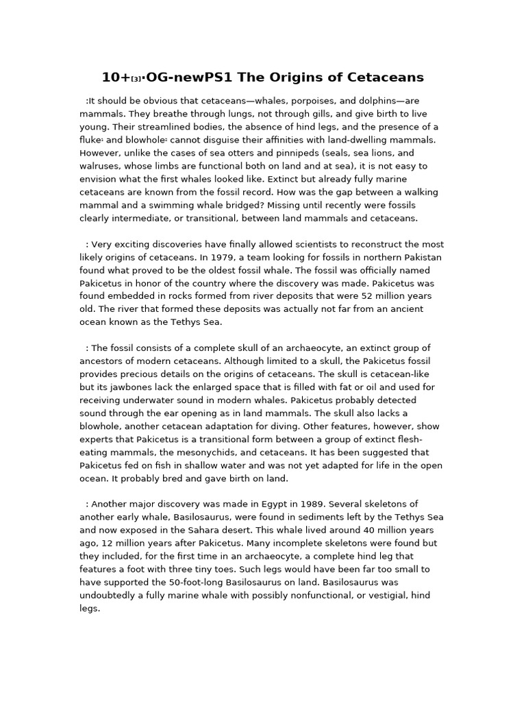 The Origins of Cetaceans | PDF | Cetacea | Whales